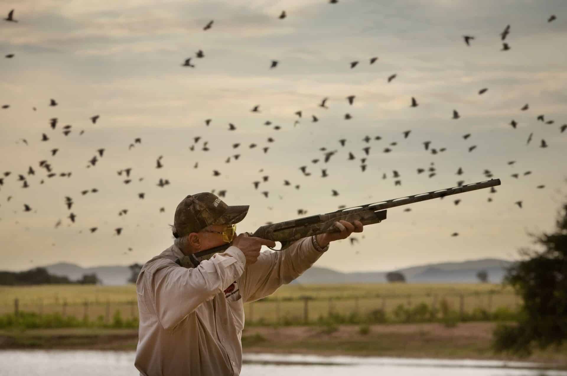 Which Two Shotgun Chokes Are Best For Hunting Small Birds